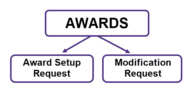 Awards Overview/Workflow - SAGE