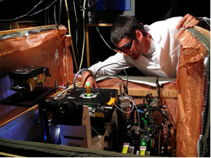 Ginger-img1 - UW Research