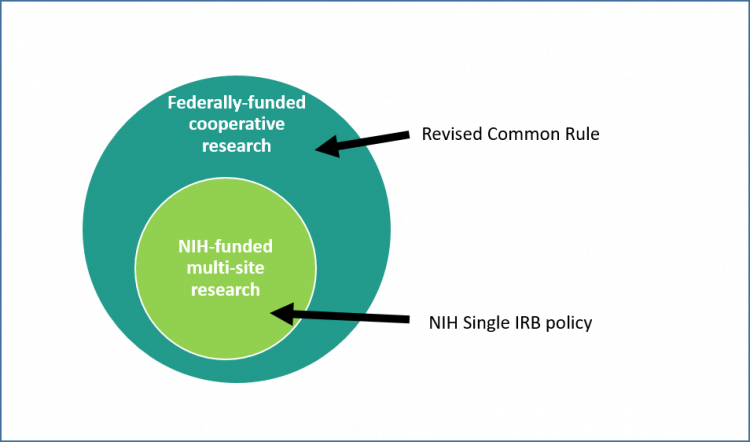 Single IRB - UW Research