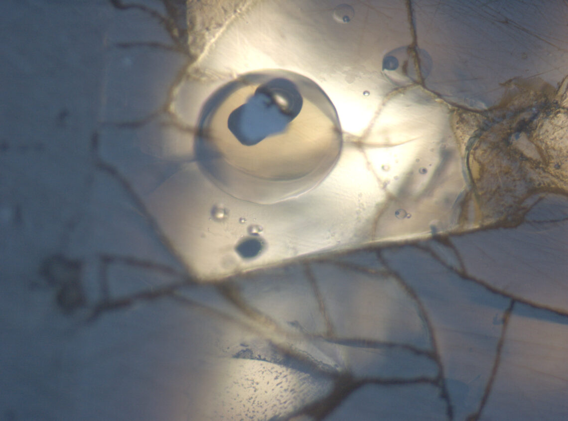 New Faculty Spotlight: Michelle Muth - UW Research