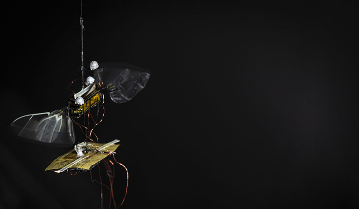 Zipline - UW Research