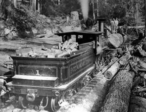 Logging Industry History
