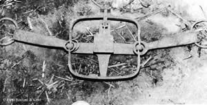 Center for the Study of the Pacific Northwest